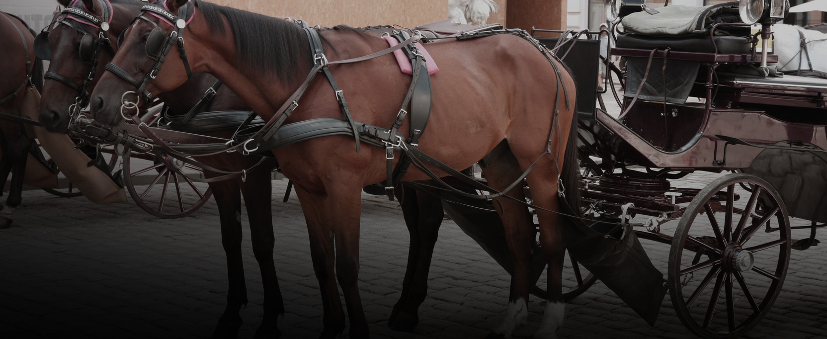 Our History | Allens Taxis